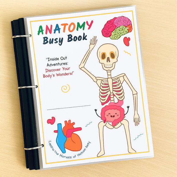 Human Anatomy Busy Book – Montessori Australia